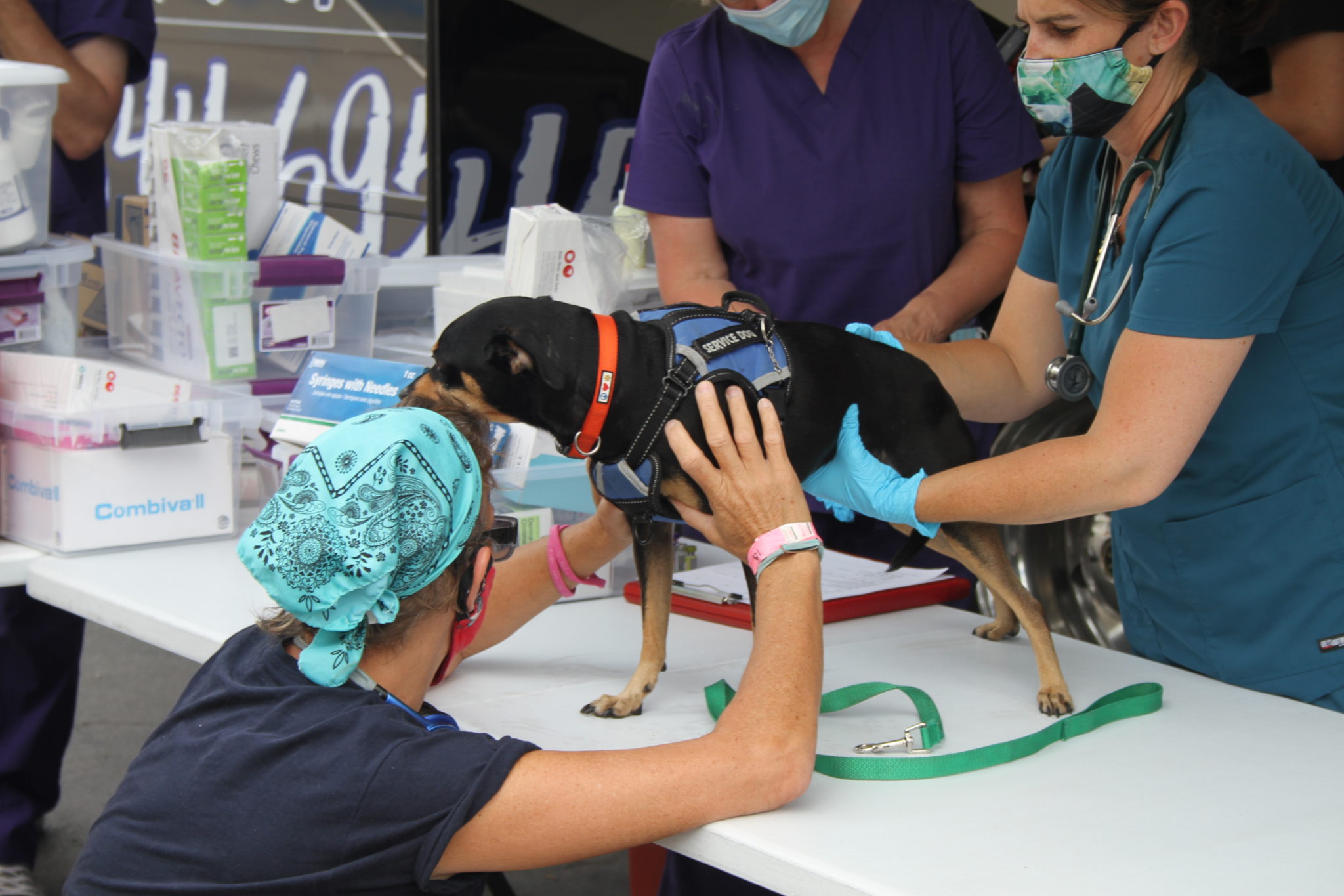 ElleVet brings vet med to those in need - aaha.org - Ellevet Project